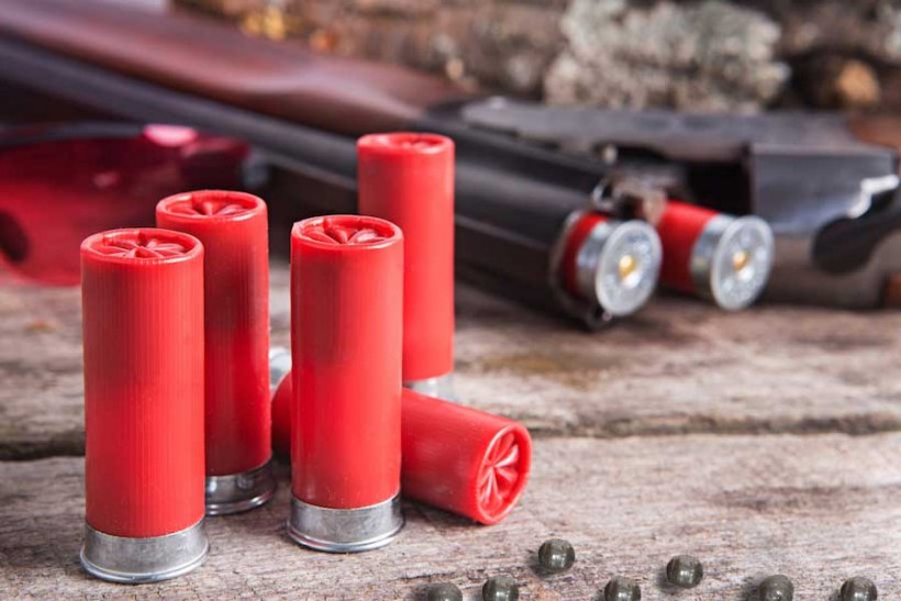 Perdigón de cazaMontorretas