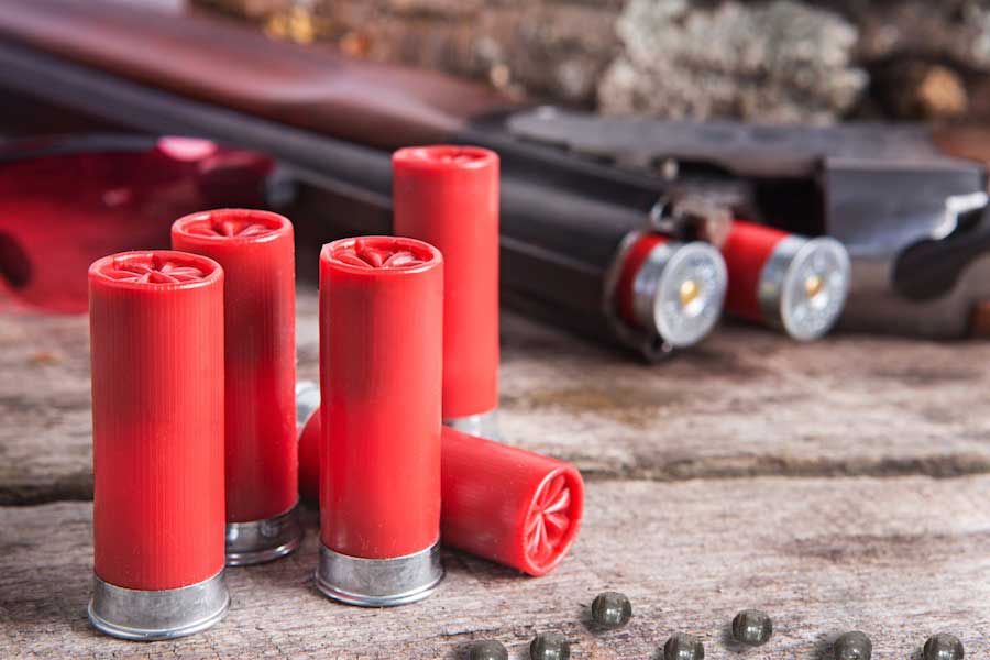 Perdigón de cazaMontorretas